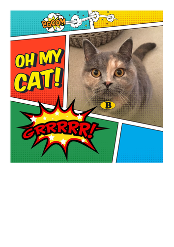 Heroes and Villains KS2/KS3 Unit of Work | Teaching Resources