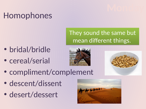 Year 5/6 Homophones Lessons (bridal/bridle) | Teaching Resources