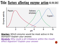 Factors affecting enzyme action - complete lesson (GCSE 1-9) | Teaching ...