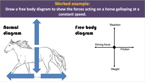 P8.2 Forces Between Objects | Teaching Resources