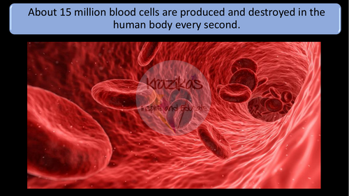 Biology Facts Presentation | Teaching Resources