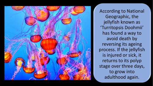 Biology Facts Presentation | Teaching Resources