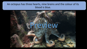 Biology Facts Presentation | Teaching Resources