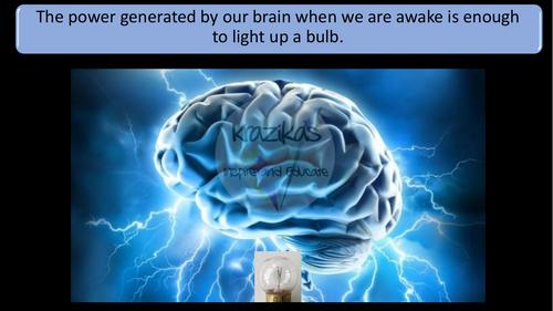 Biology Facts Presentation | Teaching Resources