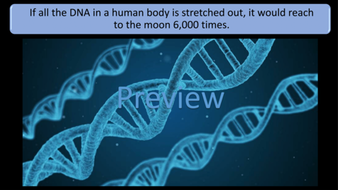 Biology Facts Presentation | Teaching Resources