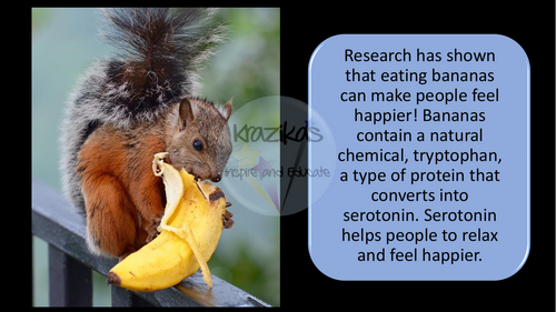 Biology Facts Presentation | Teaching Resources