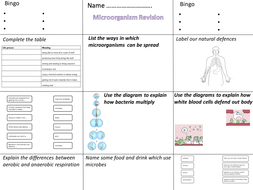 end of year 8 science revision | Teaching Resources