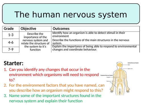 NEW AQA GCSE Biology - 'Homeostasis' lessons | Teaching Resources