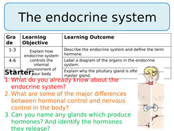 NEW AQA GCSE Trilogy (2016) Biology - The endocrine system by ...