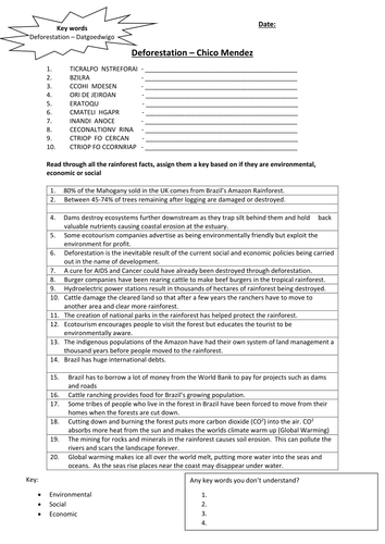 Rainforest Deforestation | Teaching Resources