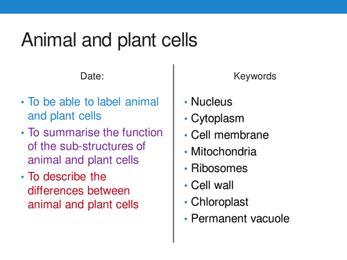 New 9-1 AQA GCSE Biology B1 Animal and Plant Cells | Teaching Resources