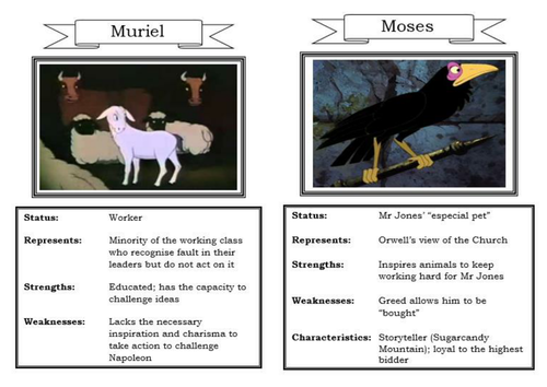 Animal Farm - Character Profiles for Display | Teaching Resources
