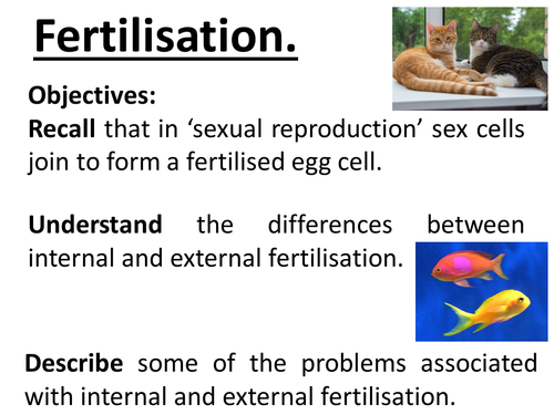 Animal and plant reproduction. Fertilisation, pregnancy, birth etc ...