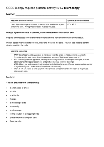 New GCSE AQA 9-1 Biology B1 Microscopes | Teaching Resources