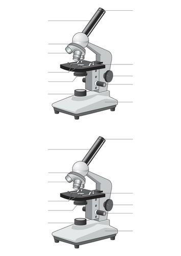 New GCSE AQA 9-1 Biology B1 Microscopes | Teaching Resources