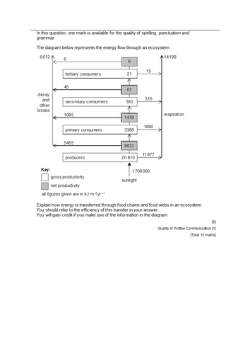 Energy transfer in ecosystems - complete lesson (A2) | Teaching Resources