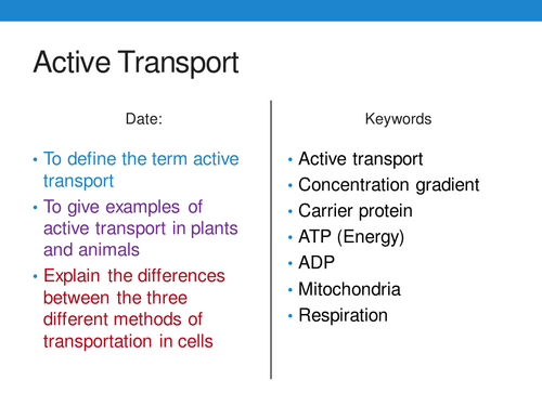 New GCSE 9-1 AQA Biology B1 Active Transport | Teaching Resources