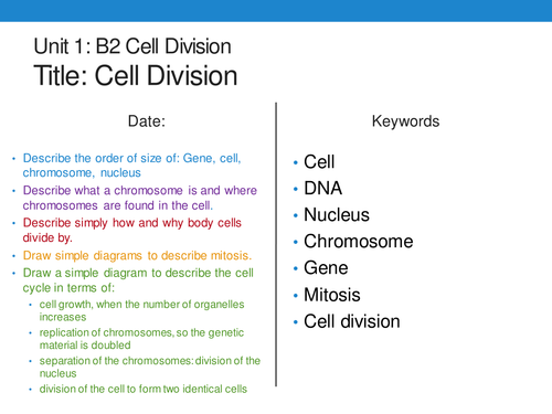 New 9-1 GCSE AQA Biology B2 Cell Division | Teaching Resources