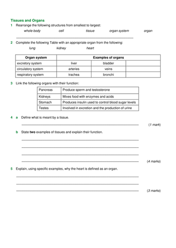 New 9-1 GCSE AQA Biology B3 Tissues, Organs and Digestive System ...