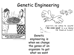 B14.4 Genetic Engineering NEW AQA | Teaching Resources