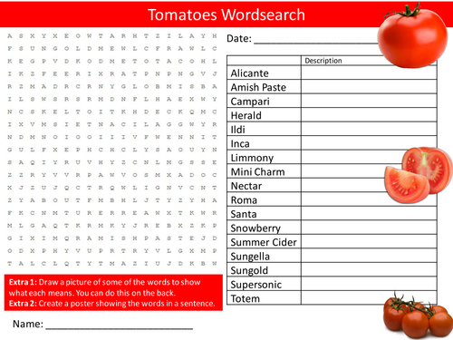 Tomatoes Wordsearch Food Technology Starter Settler Activity Homework ...