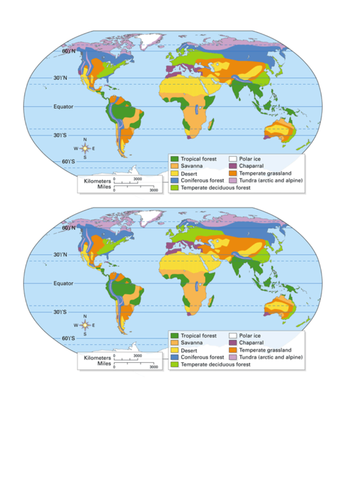 World biome research lesson | Teaching Resources
