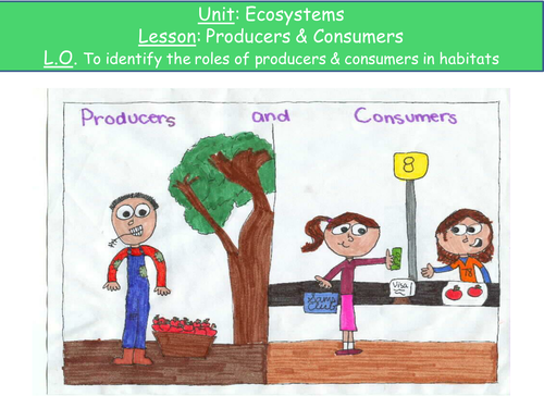 Producers and Consumers | Teaching Resources
