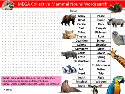 5 x Animals Collective Nouns Wordsearch English Starter Settler ...