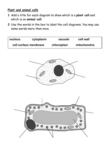 Cells, Tissues and Organs Year 7 Topic- 6 full lessons (KS3 7A ...