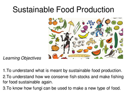 Sustainable Food Production NEW AQA 1-9 GCSE | Teaching Resources