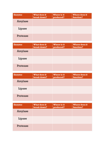 How the digestive system works - complete lesson (GCSE 1-9) | Teaching ...