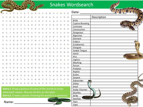Snakes Wordsearch Animals Reptiles Starter Settler Activity Homework ...
