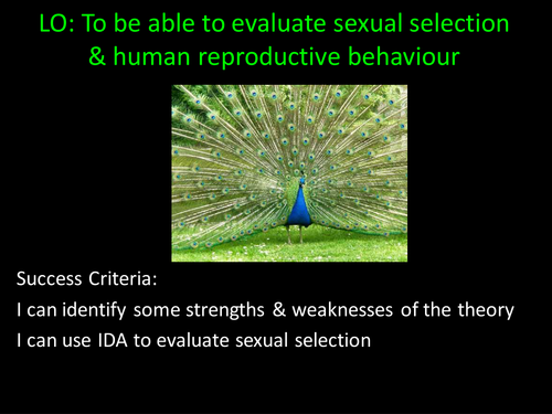 Psychology: Sexual Selection (Evolutionary Explanation of Relationships ...