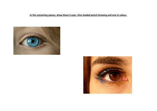 Facial features worksheets | Teaching Resources