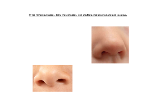 Facial features worksheets | Teaching Resources