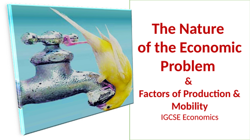 The Economic Problem, Factors of Production and Factor Mobility 'ppt ...