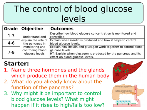 NEW AQA GCSE Trilogy (2016) Biology - The control of blood glucose ...