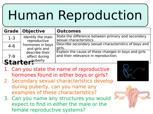 NEW AQA GCSE Biology - 'Inheritance, Variation & Evolution' lessons ... NEW AQA GCSE Biology - 'Inheritance, Variation & Evolution' lessons ...