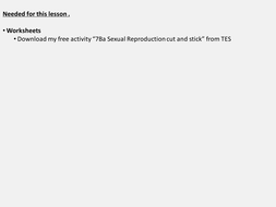Sexual Reproduction in Animals Year 7 Lesson PowerPoint (KS3 7Ba ...