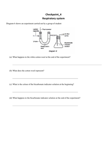 Respiratory system - Year 8, KS3 stage | Teaching Resources