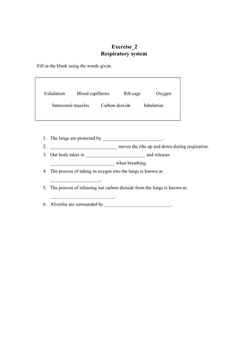 Respiratory system - Year 8, KS3 stage | Teaching Resources