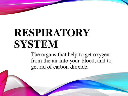 Respiratory system - Year 8, KS3 stage | Teaching Resources