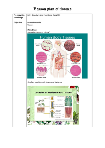 Tissues | Teaching Resources