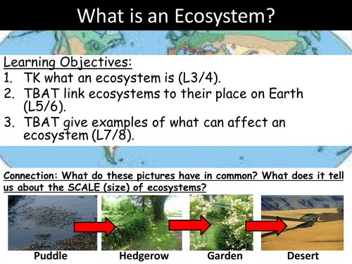 Lesson 1: What is an Ecosystem? | Teaching Resources