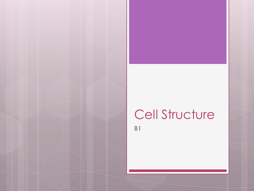 NEW AQA Biology 2017 - B1 Cell Structure and Transport | Teaching Resources
