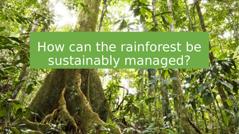 GCSE 9-1; Ecosystems - Sustainable rainforest management (ecotourism ...