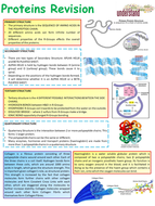AS Biology Revision Notes / Summary Sheets | Teaching Resources