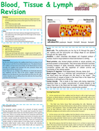 AS Biology Revision Notes / Summary Sheets | Teaching Resources