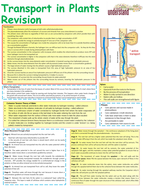 AS Biology Revision Notes / Summary Sheets | Teaching Resources
