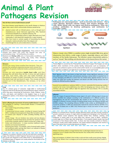 AS Biology Revision Notes / Summary Sheets | Teaching Resources